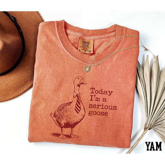 Comfort Colors Today I'm A Serious Goose Shirt, Funny Goose Tee, Silly ...