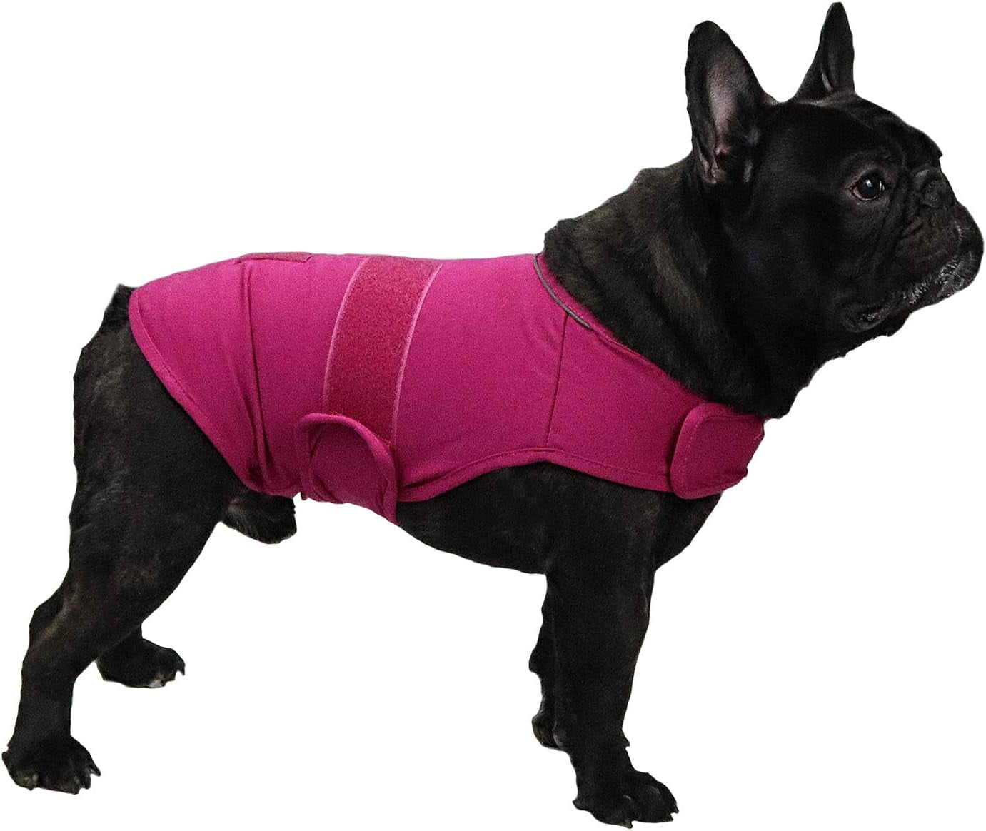 Comfort Dog Anxiety Relief Coat, Dog Anxiety Calming Vest Wrap for ...