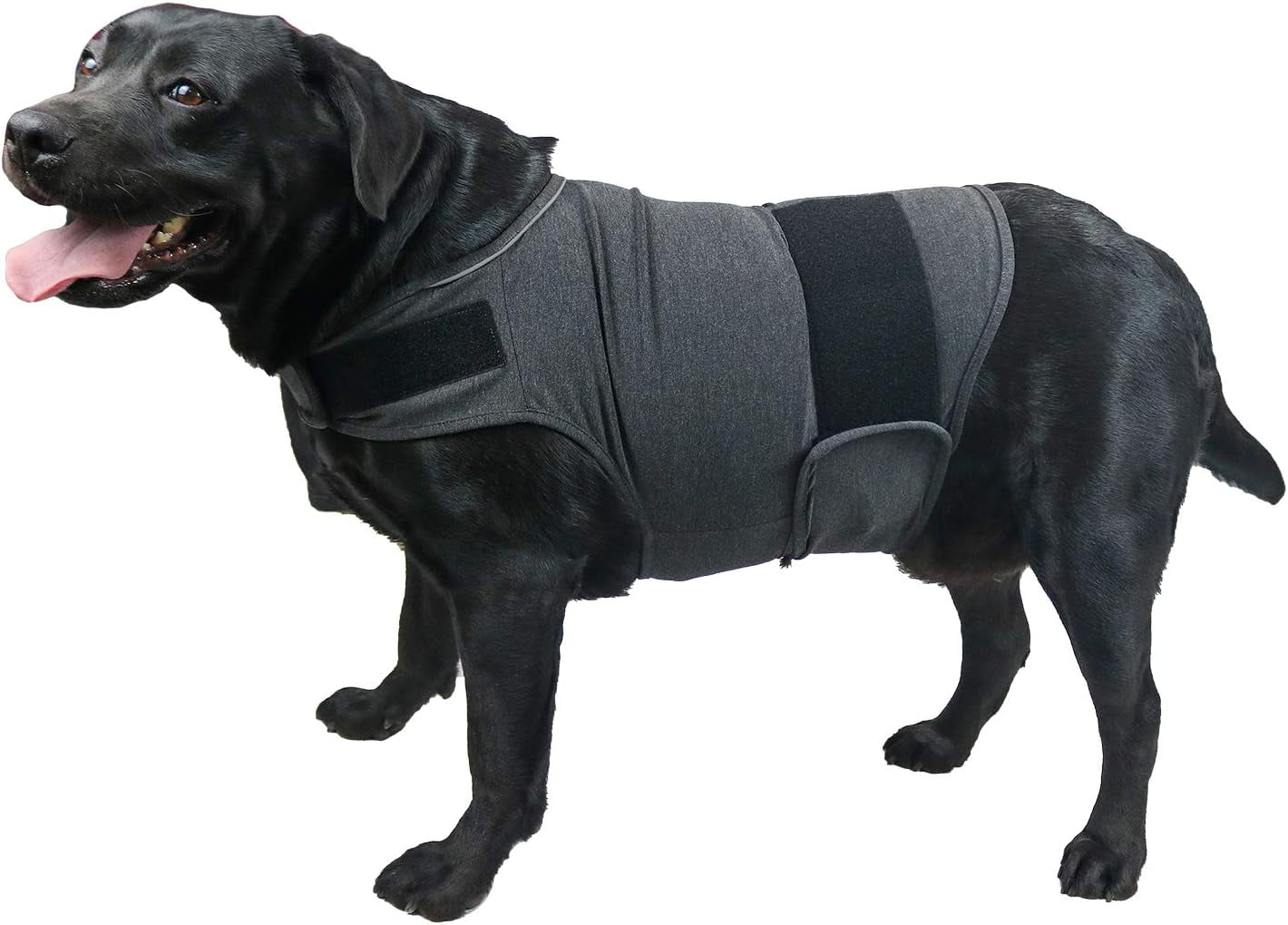 Comfort Dog Anxiety Relief Coat, Dog Anxiety Calming Vest Wrap for ...