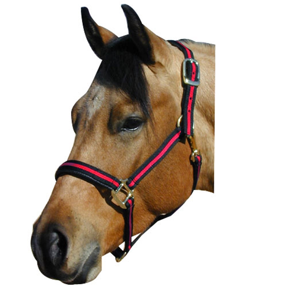 Intrepid International No Rub Padded Striped Halter-Horse Black W/Red ...