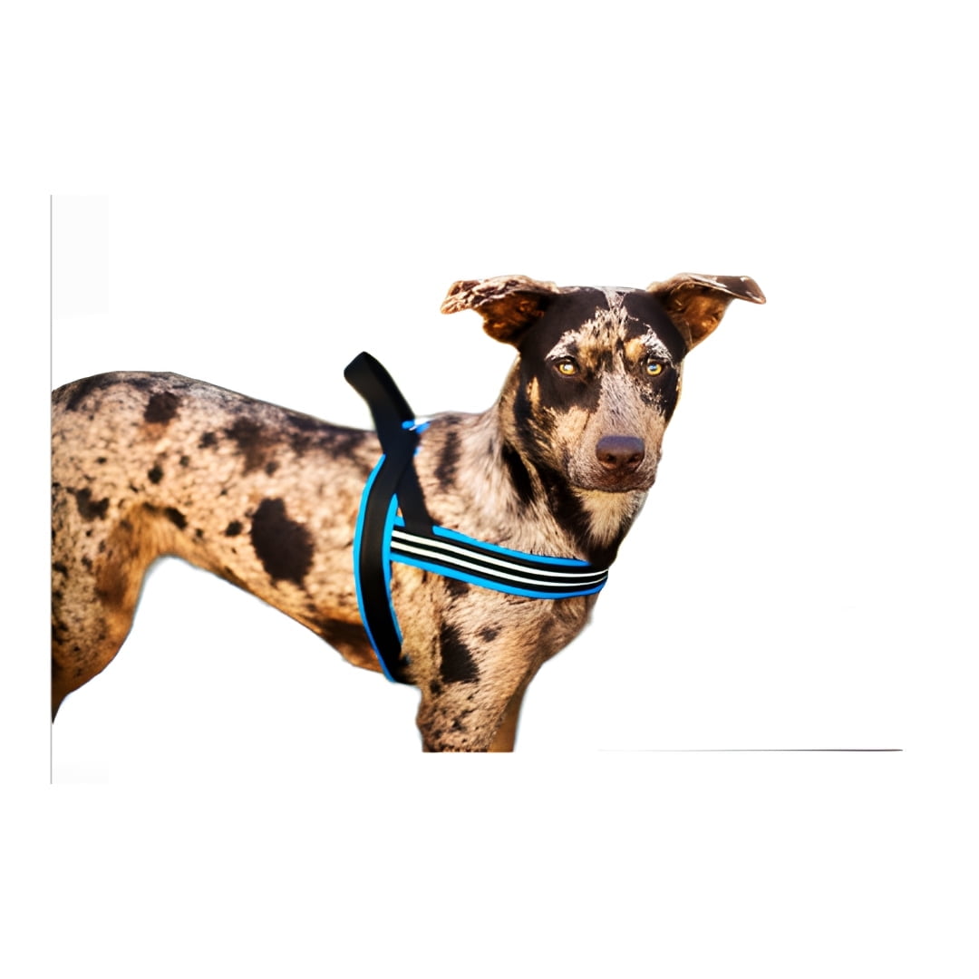 ComfortFlex Sport Dog Harness. Made in the USA, Padded, Nylon ...