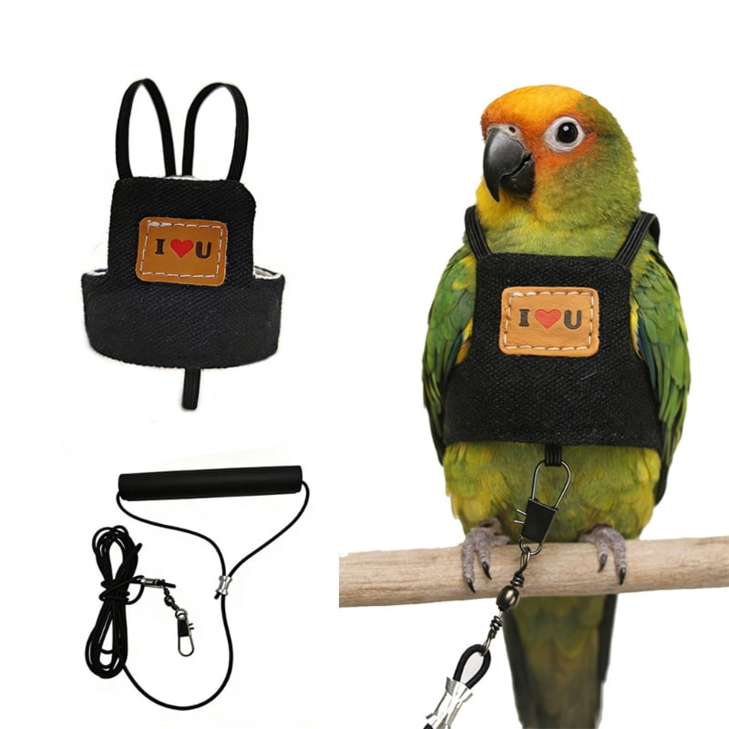Comfortable Bird Harness Vest with Leash For Small To Medium Parrots ...