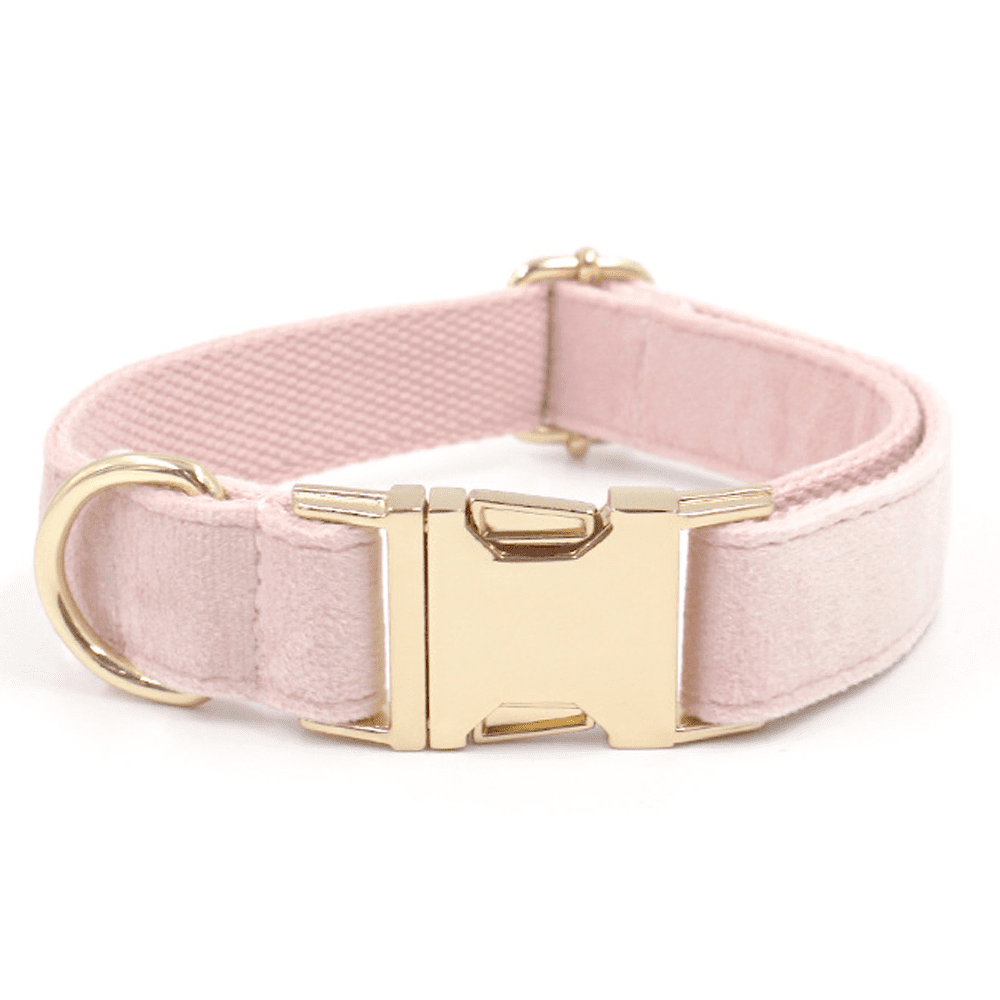 Comfortable Double-Layer Dog Collar with Zinc Alloy Buckle Dog Collar ...