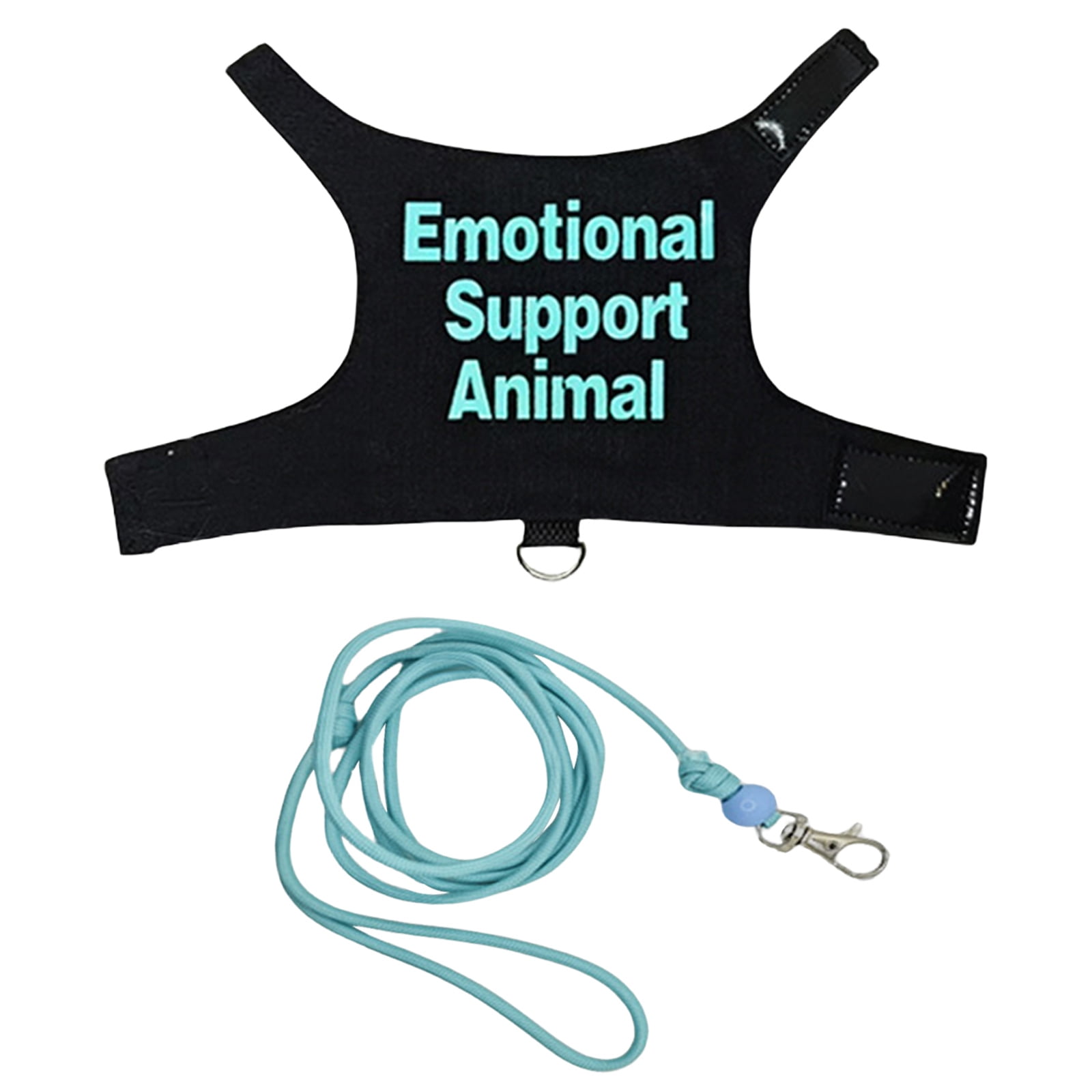 Comfortable Lizards Leashes Set Reptiles Outdoor Multicolor Light ...