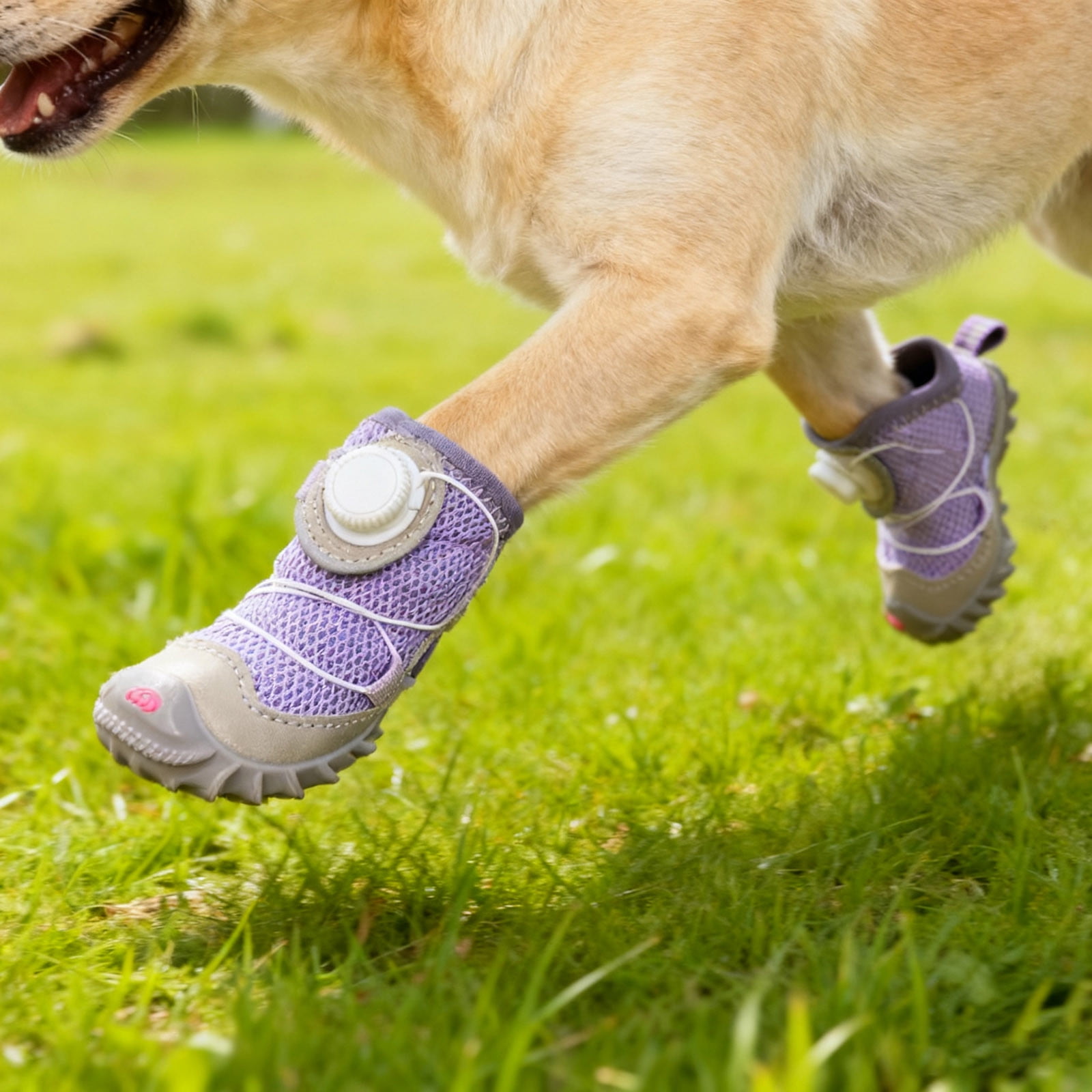 Comfy Paw Shoes Dog Boots for Small to Large Dogs, Waterproof Dog Shoes ...