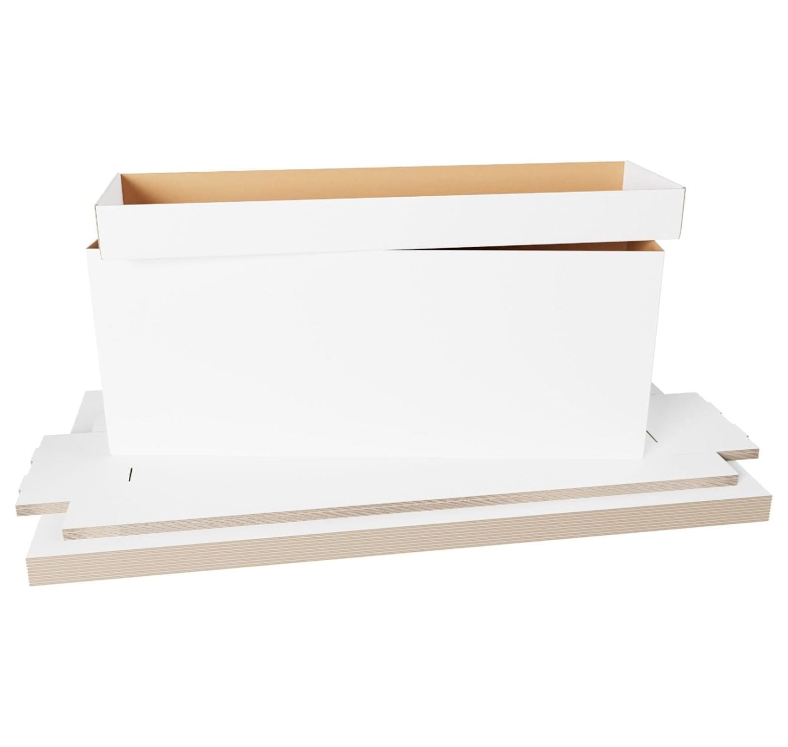 Comic Book Storage Box - 10 Count Long ComicBook Boxes with White ...