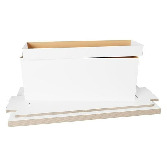 Comic Book Storage Box - 4 Count Long ComicBook Boxes with White ...