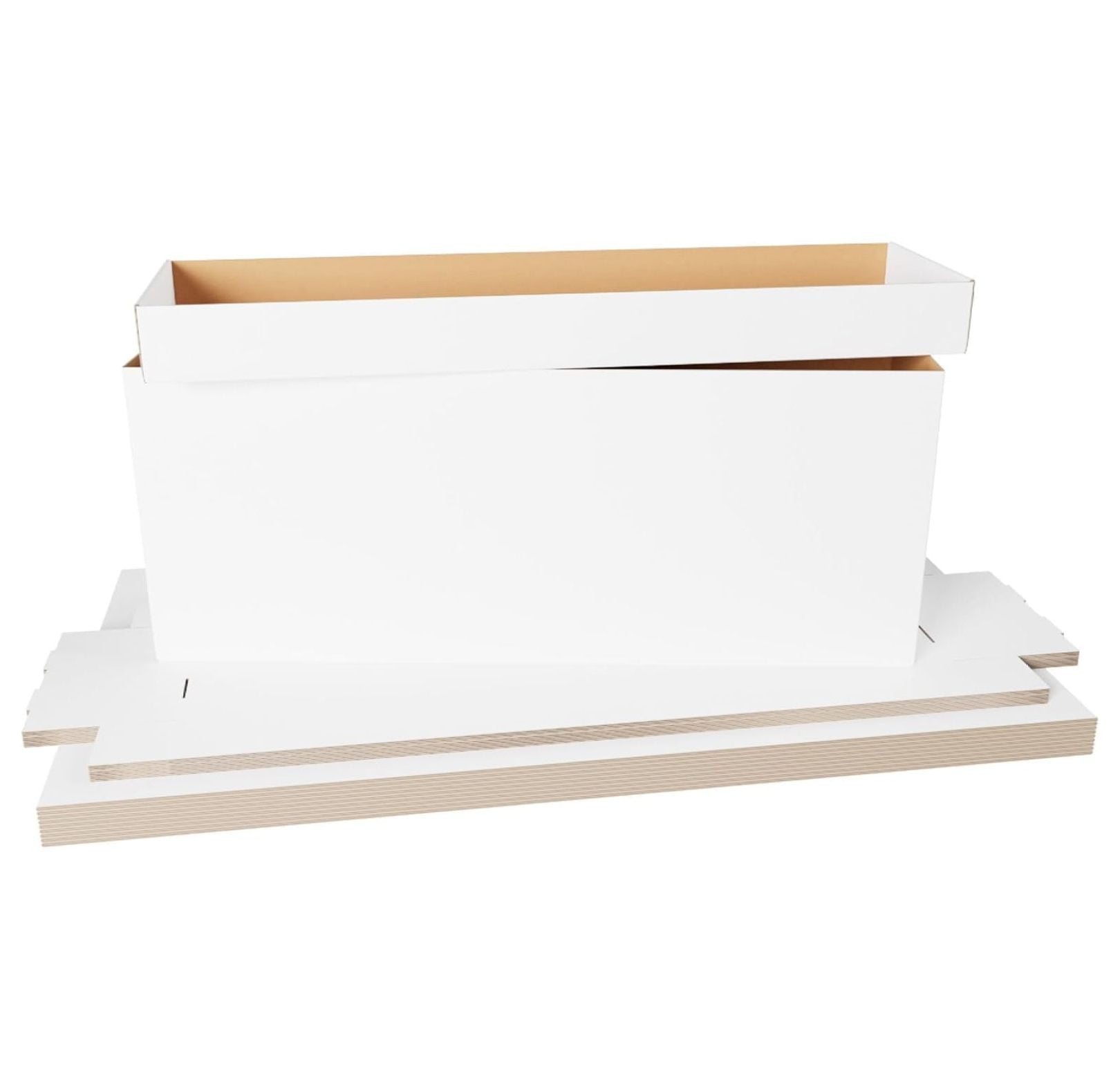 Comic Book Storage Box - 6 Count Long ComicBook Boxes with White ...