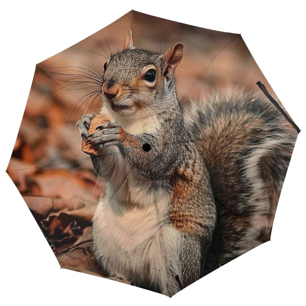 Comio Squirrel Leaves Surprised Three-Fold Automatic Umbrella Fit ...