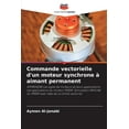 Commande vectorielle d'un moteur synchrone Ã aimant permanent, (Paperback) - Walmart.com