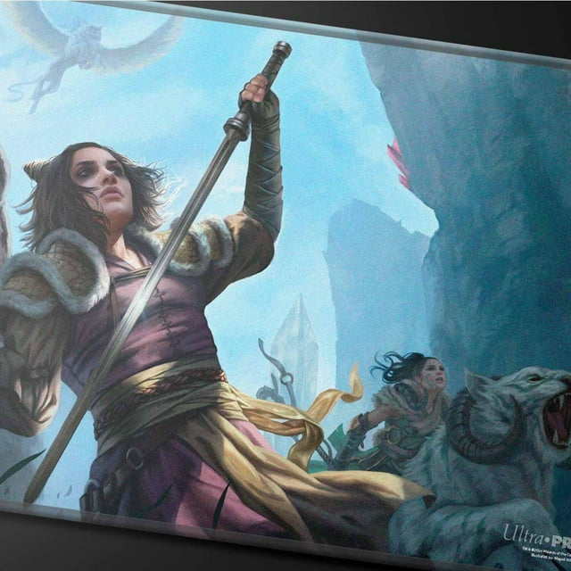 Commander Series #3: Enemy - Winota Stitched Edge Standard Gaming ...