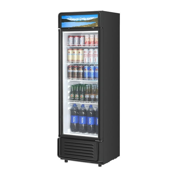 Commercial Refrigerator 9.7 cu ft, Glass Door Beverage Cooler ...