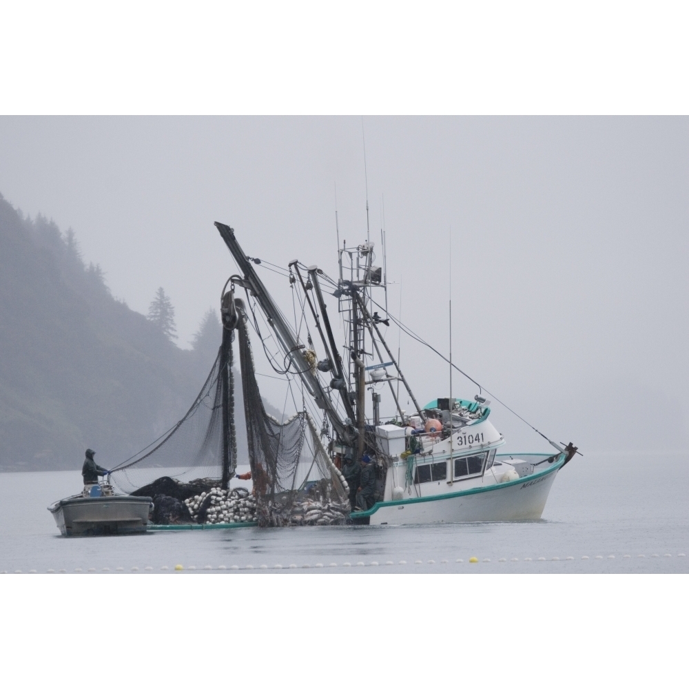 Commercial Seiner *Malamute Kid* Hauling In Catch Of Silver Salmon In ...