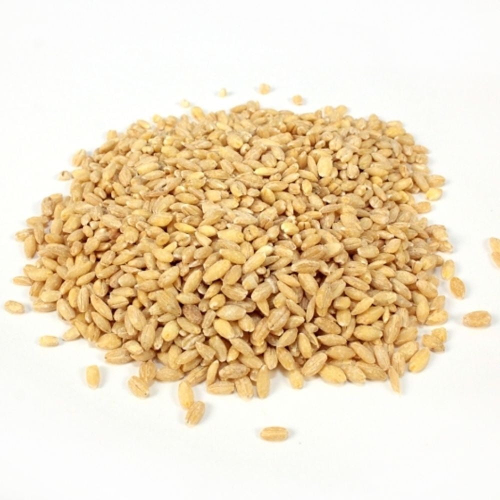 Commodity Beans Pearl Barley Bean, 25 Pounds - Walmart.com