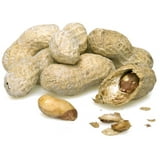 Commodity Nutmeats, Roasted & Salted In Shell Peanut Box, 25 Lb ...
