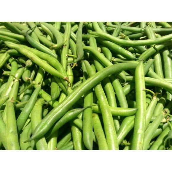 Fresh Green Beans