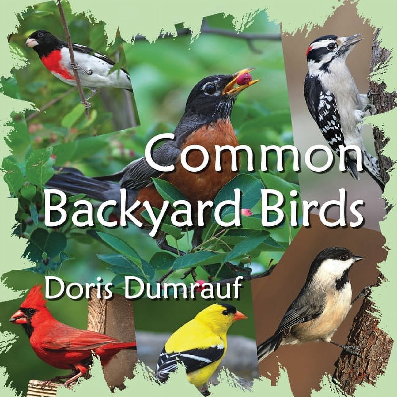 Common Backyard Birds, (Paperback) - Walmart.com