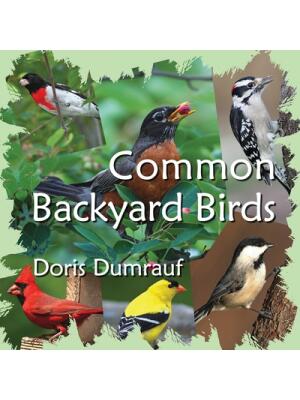 Common Backyard Birds - Walmart.com