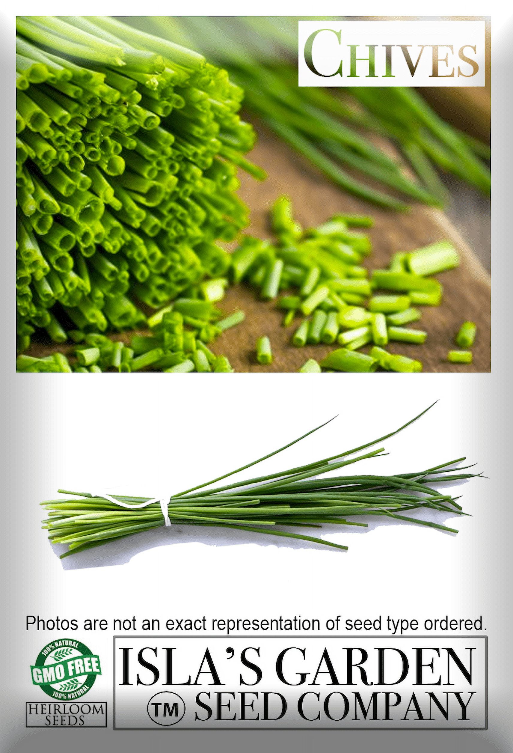 Common Chives Seeds for Planting, 1000+ Heirloom Seeds Per Packet Non ...