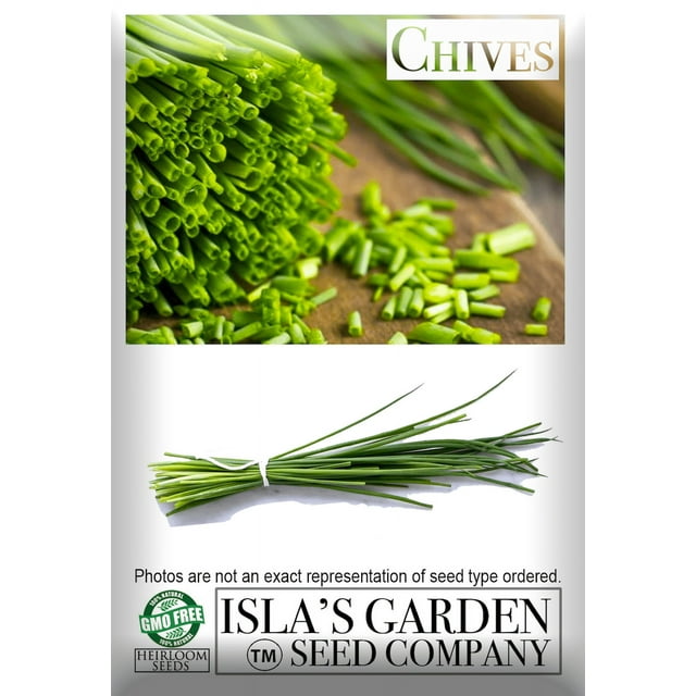 Common Chives Seeds for Planting, 1000+ Heirloom Seeds Per Packet Non ...