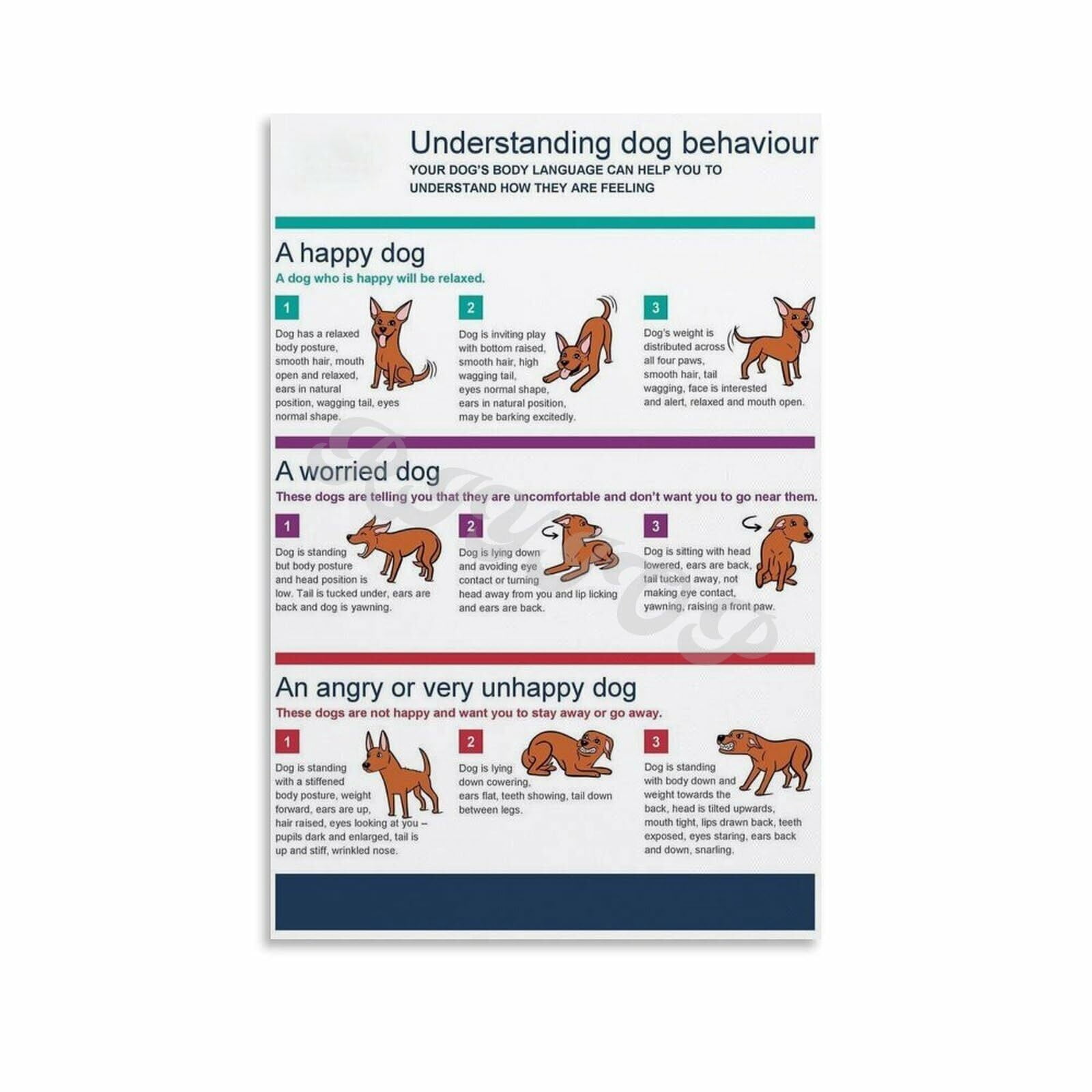 Common Dog Behaviors Explained Poster Dog Body Language Poster Canvas ...
