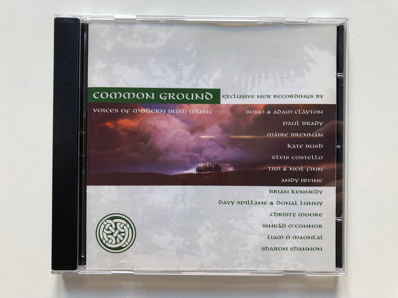 Common Ground: Voices Of Modern Irish Music - Exclusive New Recordings ...
