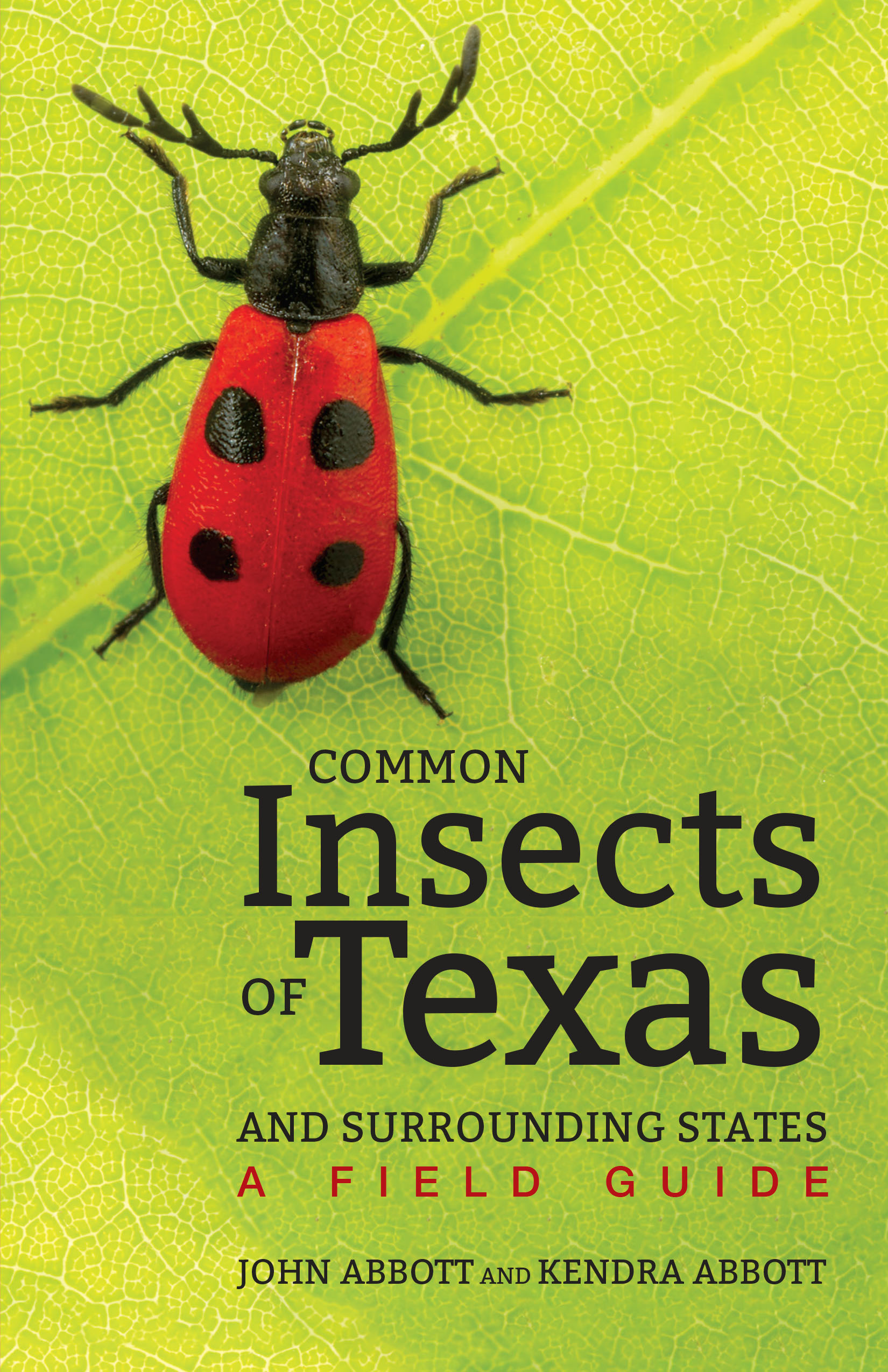 Common Insects of Texas and Surrounding States : A Field Guide ...