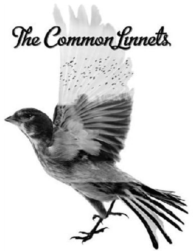 Common Linnets - Common Linnets - Music & Performance - CD - Walmart.com