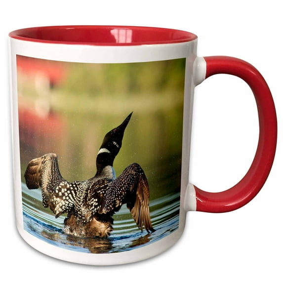 3drose, Common Loon Bird on Beaver Lake, Whitefish, Montana - Us27 ...