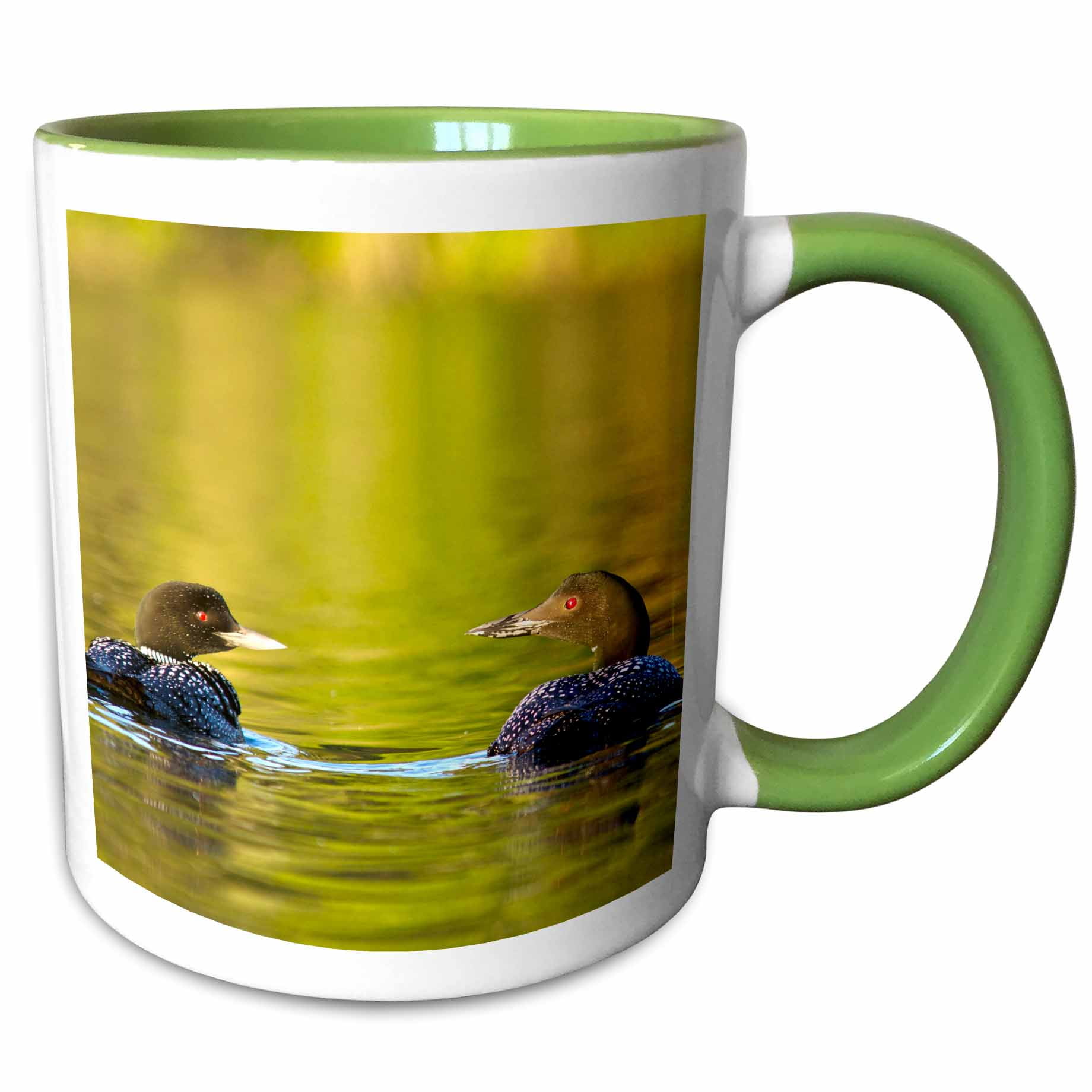 3drose, Common Loon Bird on Beaver Lake, Whitefish, Montana - Us27 ...