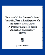 Common Native Insects Of South Australia, Part 2, Lepidoptera, Or ...