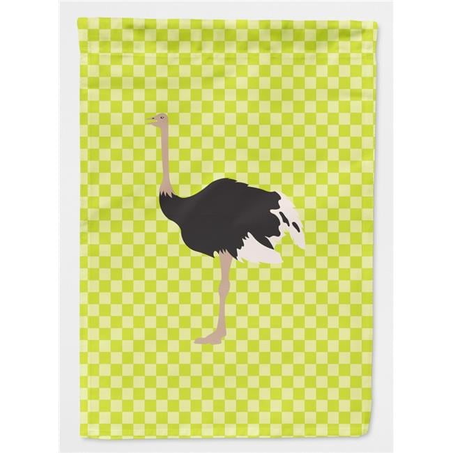 Common Ostrich Green Flag Canvas House - Green - Walmart.com