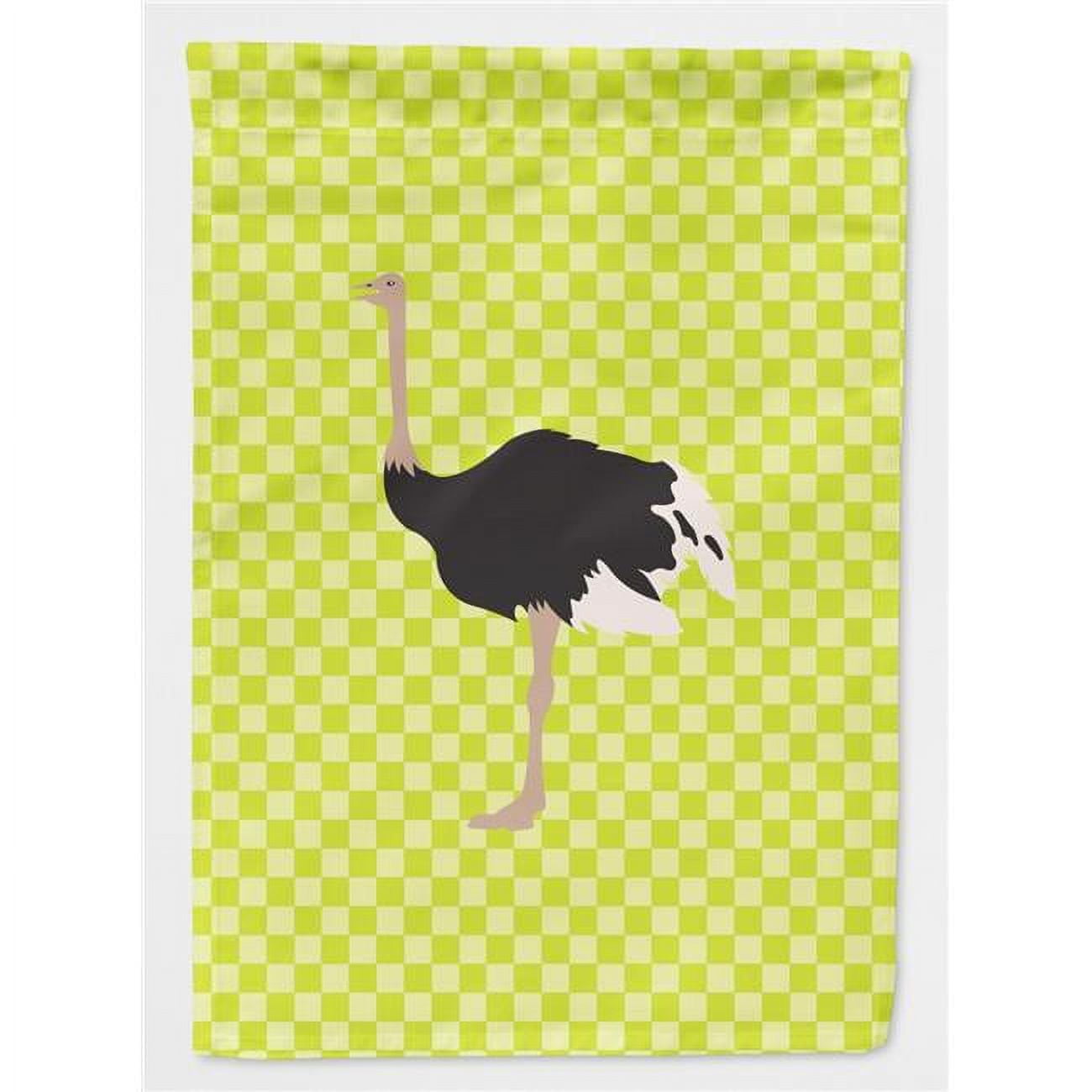 Common Ostrich Green Flag Garden Size - Walmart.com