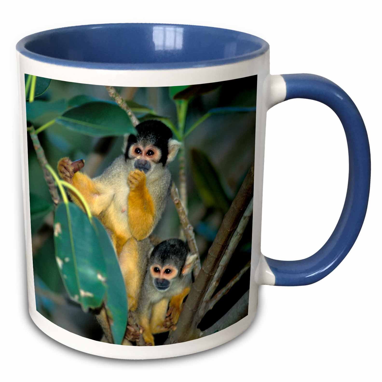 3drose, Common Squirrel Monkey, Amazonia, Captive - Na02 Ksc0021 ...