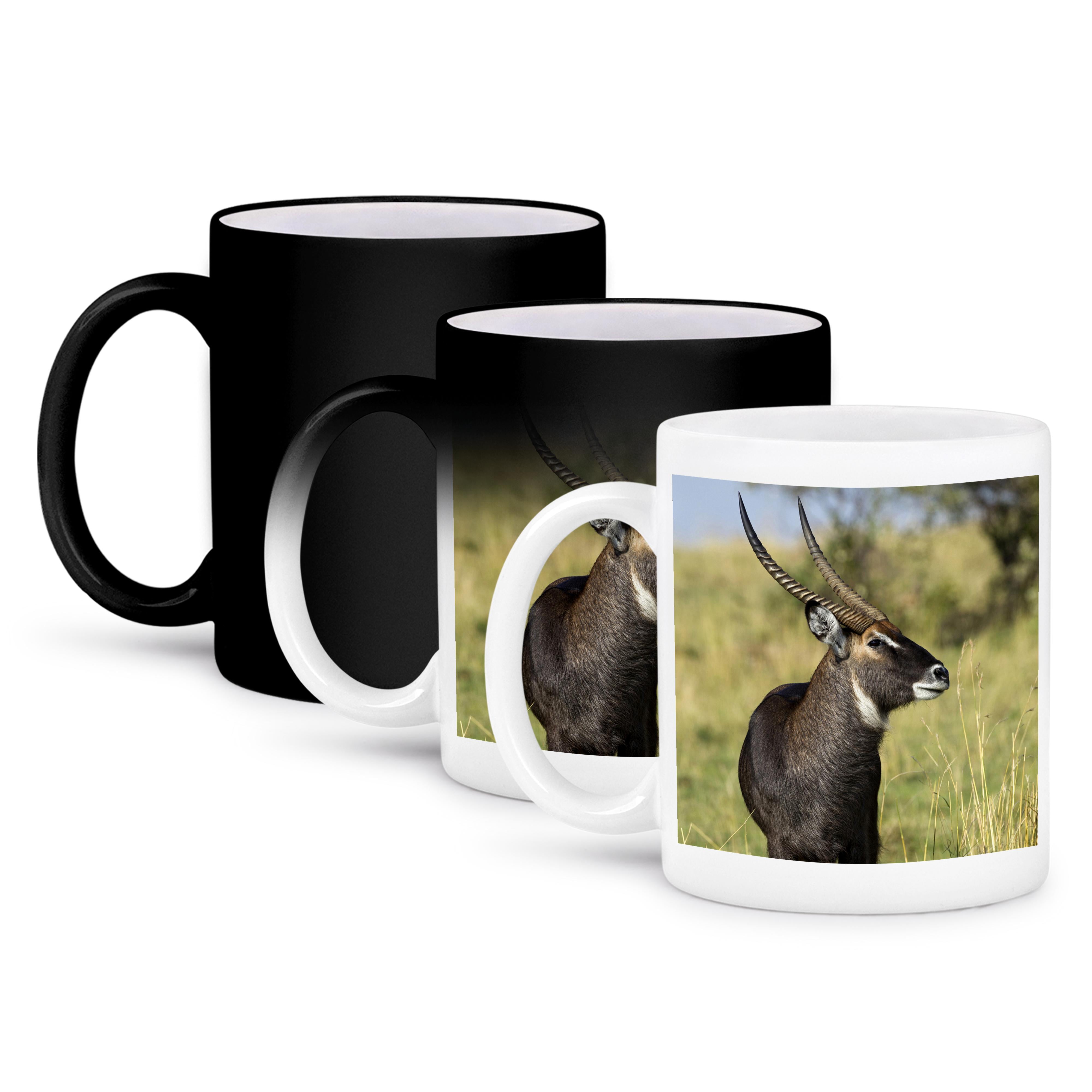 3drose, Common Waterbuck Wildlife, Maasai Mara, Kenya - Af21 Aje0775 ...