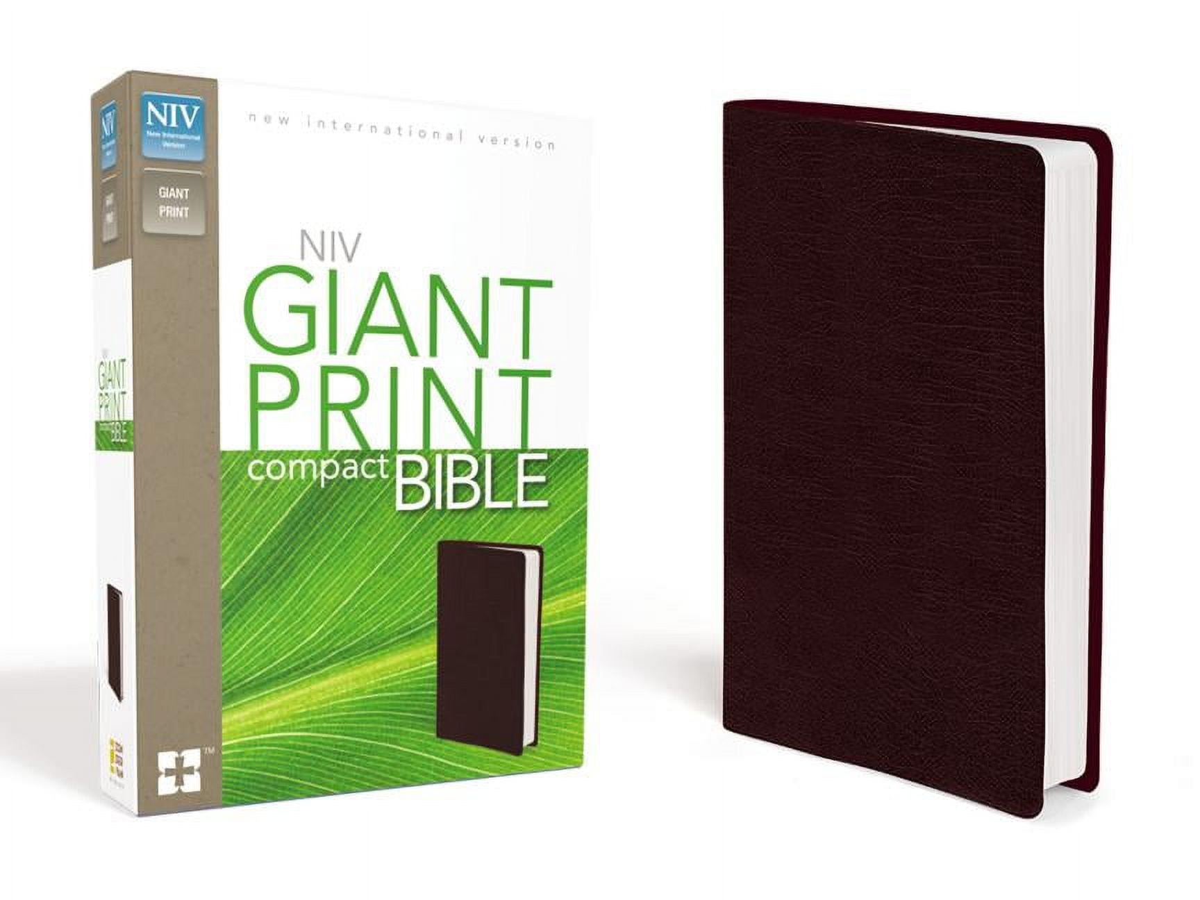 Compact Bible-NIV-Giant Print (Large Print) - Walmart.com