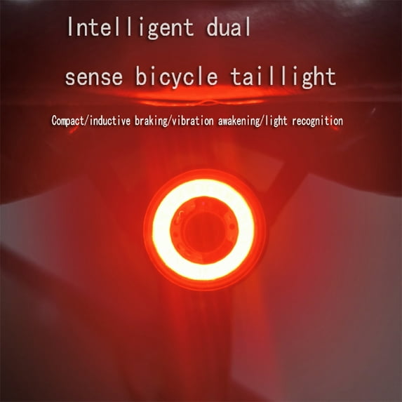 Compact LED Bike Light, USB,C Rechargeable, Saddle/Seatpost Mount, 3 ...