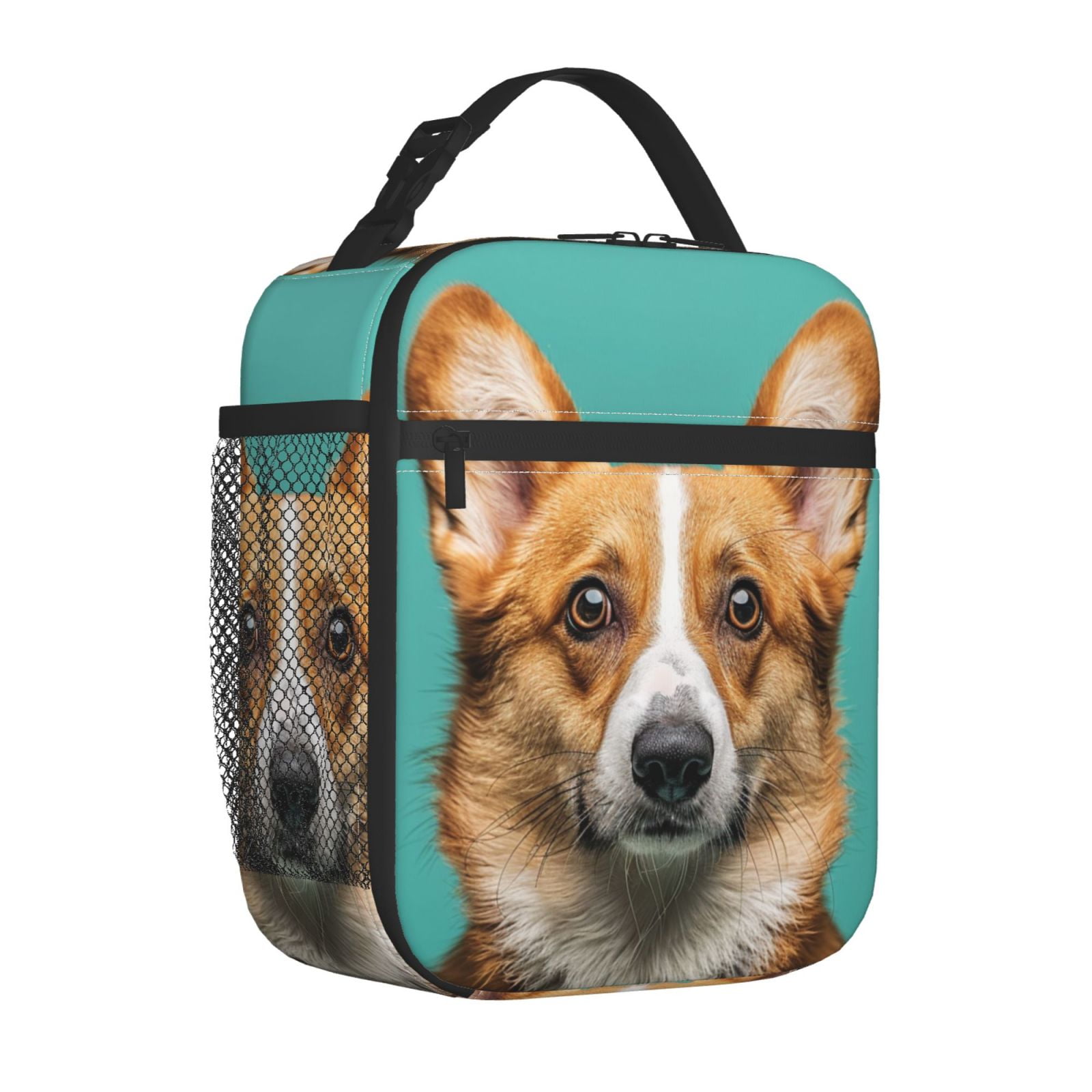 Compact Lunch Bag Reusable Insulated Lunch Tote with Side Mesh Pocket ...