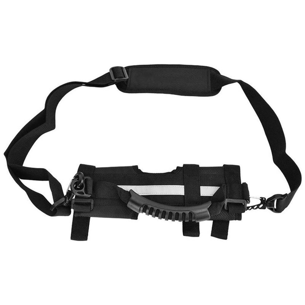 Compacts Foldable Bicycles Frame Carriers Regulable Shoulder Harnesses ...