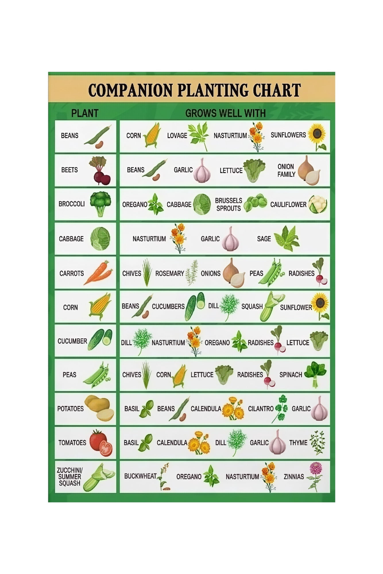 Companion Planting Chart Poster Educational Gardening Reference Guide ...