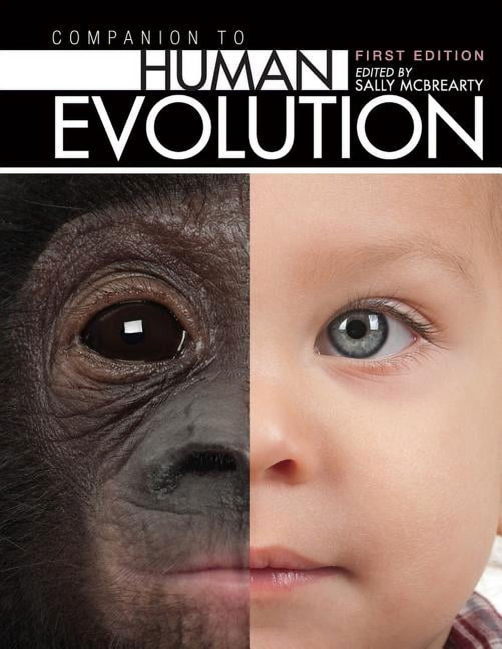 Companion to Human Evolution, (Paperback) - Walmart.com