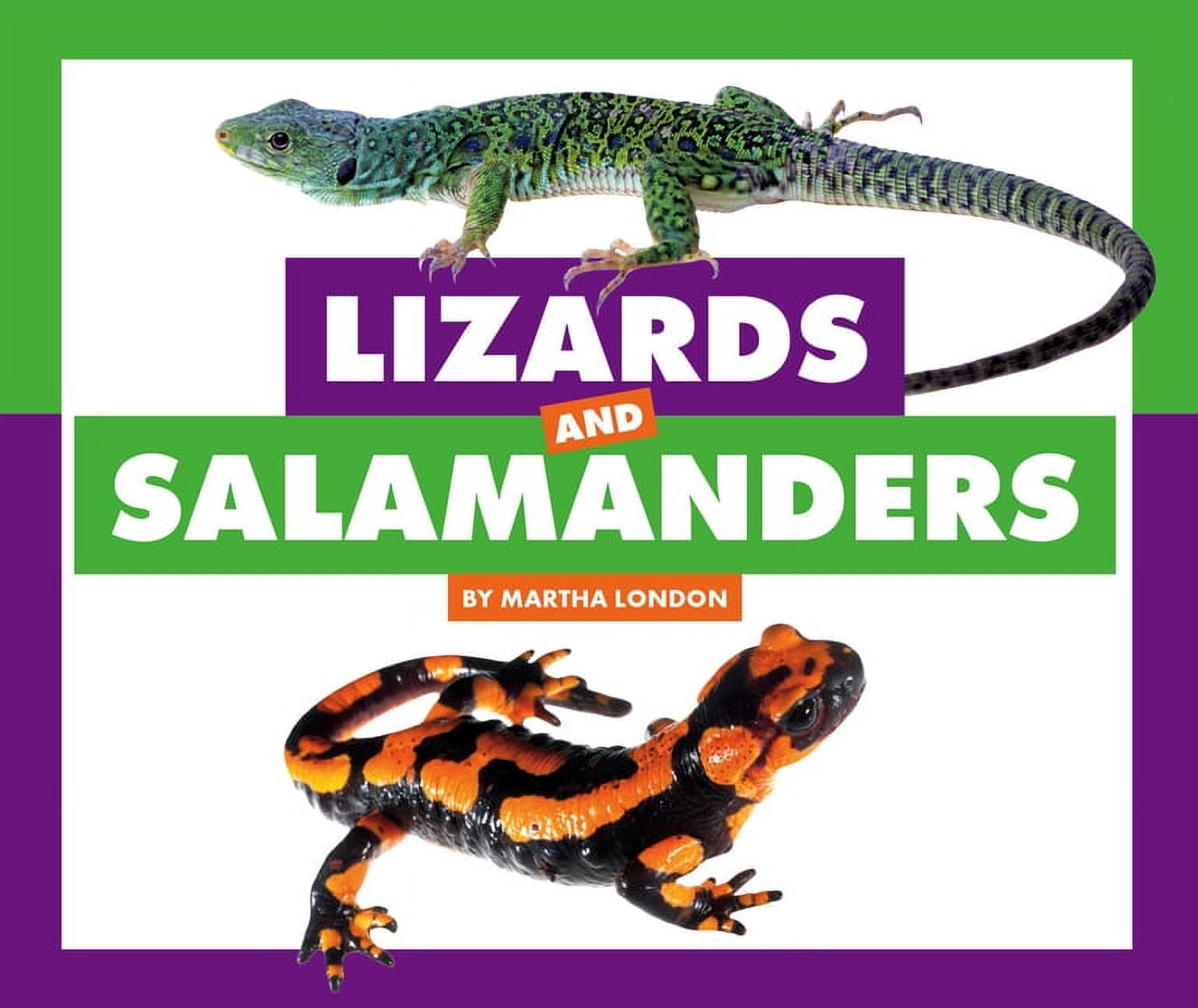 Comparing Animal Differences: Lizards and Salamanders (Hardcover ...