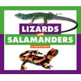 Comparing Animal Differences: Lizards and Salamanders (Hardcover ...