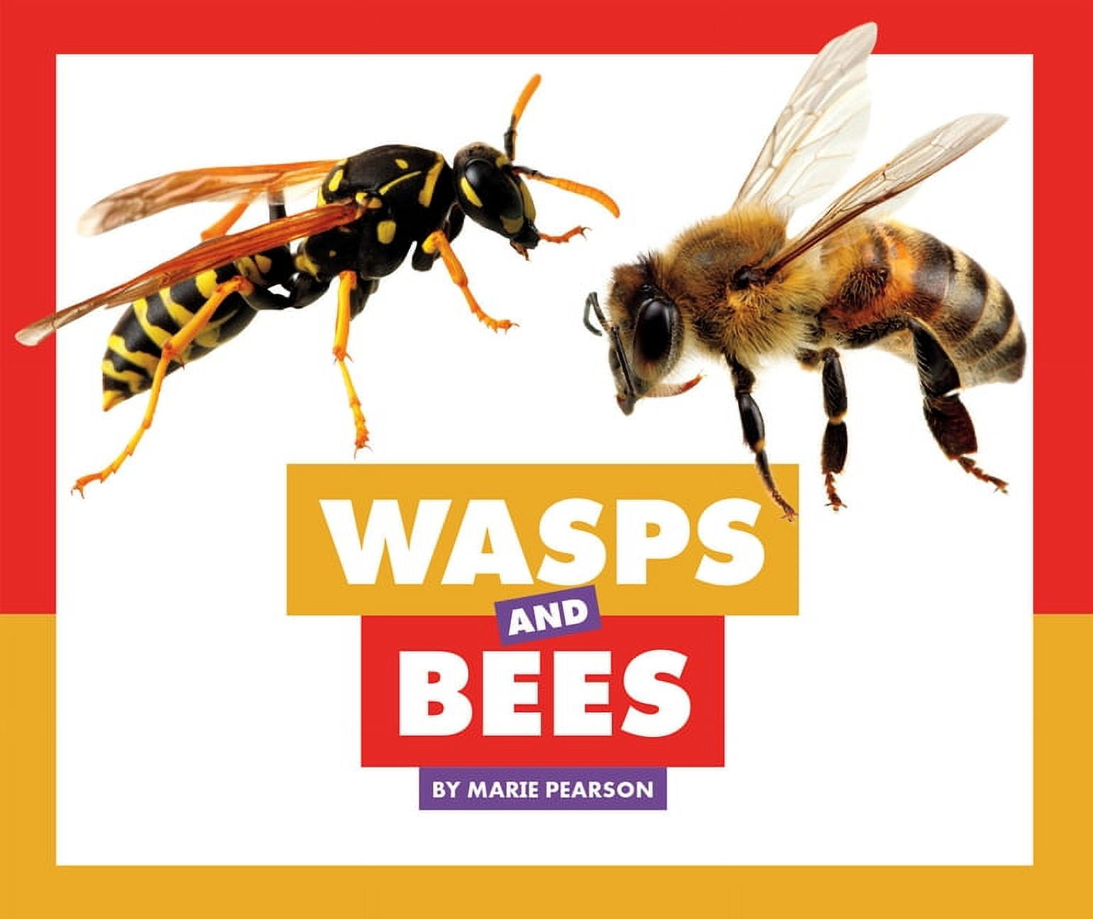 Comparing Animal Differences: Wasps and Bees (Hardcover) - Walmart.com