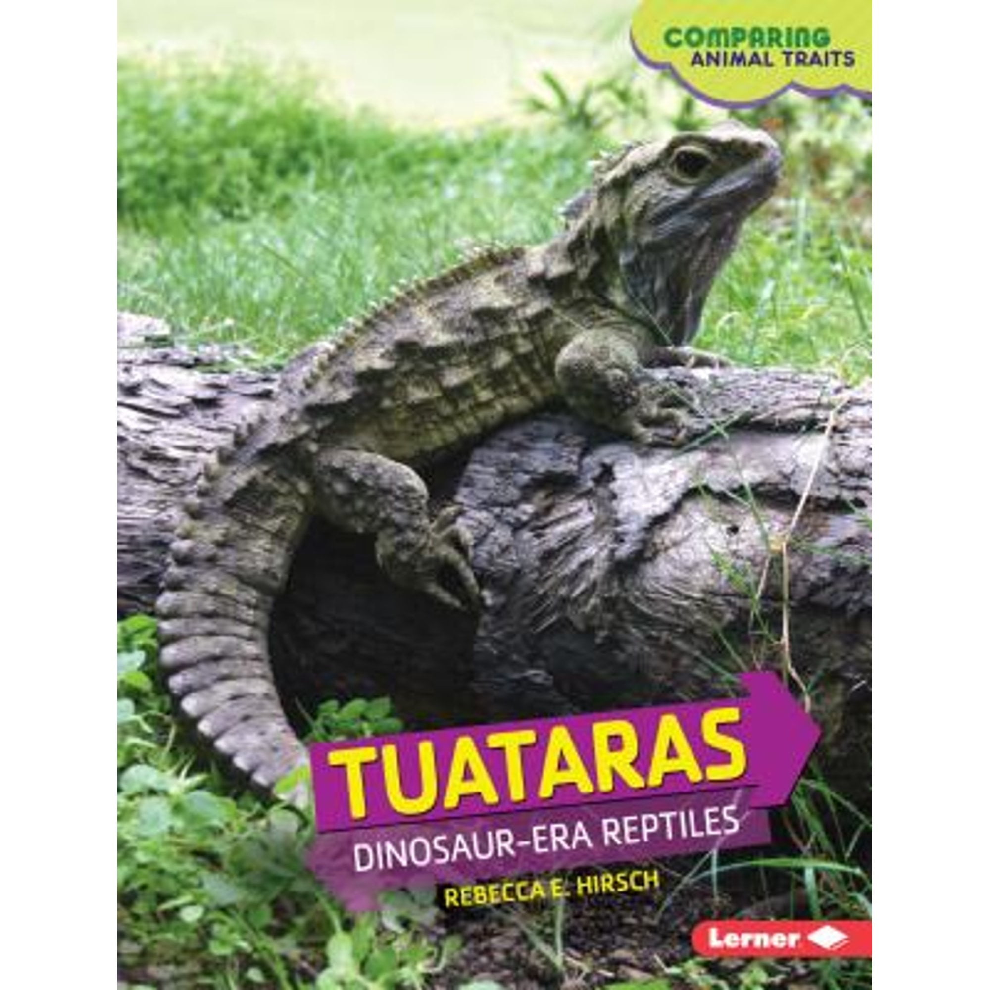 Comparing Animal Traits: Tuataras: Dinosaur-Era Reptiles (Hardcover ...