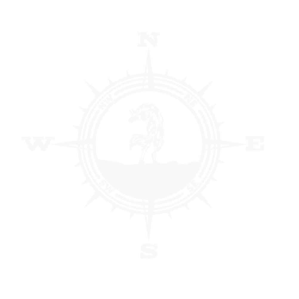Compass Car Decal Beautiful Vinyl Wall Sticker Cool Car Decorative Decal