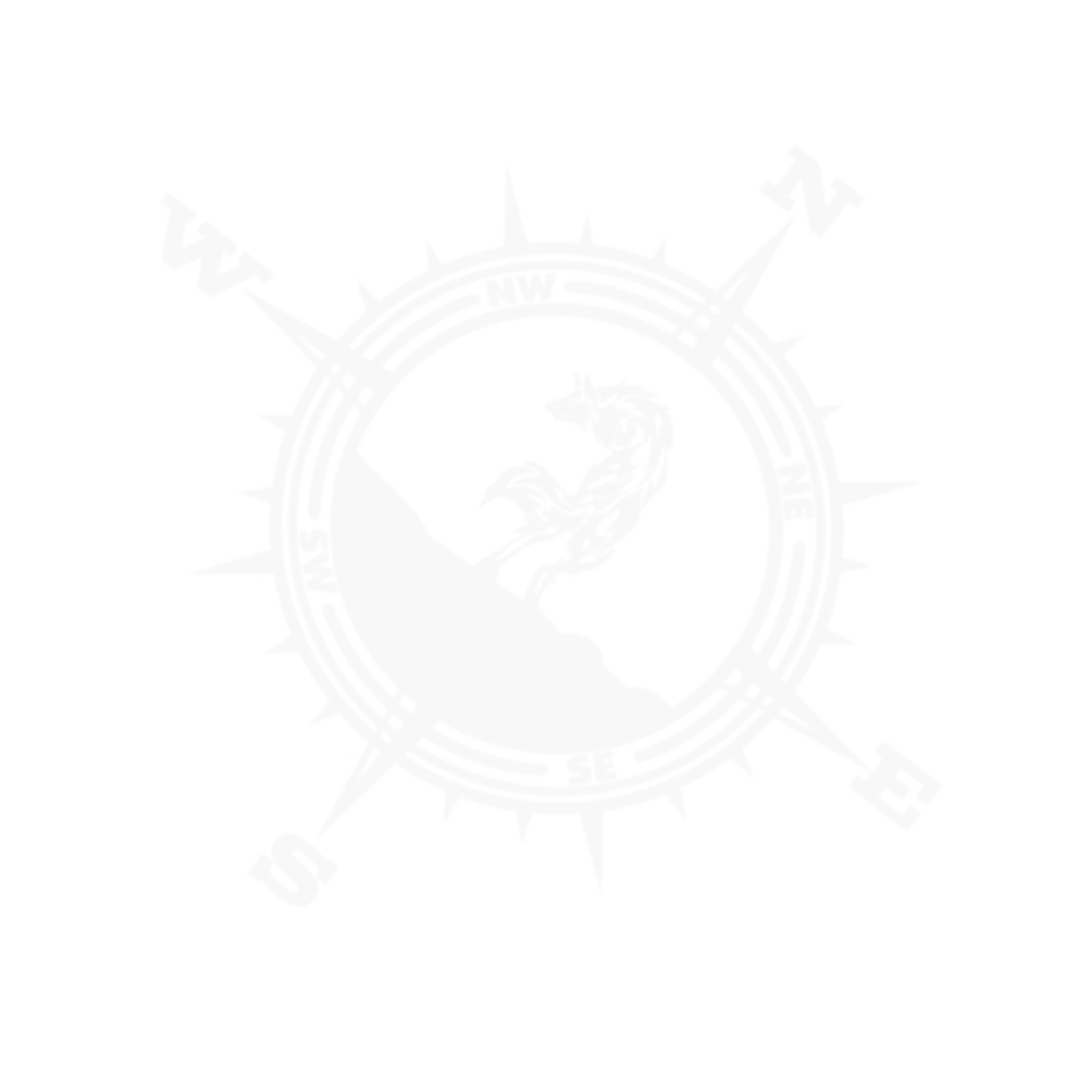 Compass Sticker Pretty Car Sticker Car Body Decoration Walls Laptop Decal