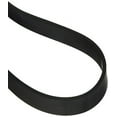 Compatible with Eureka 61120G 2 Count Type U Vacuum Cleaner Belts (2 ...