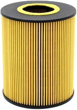 Compatible with Man Truck Bus HU1381X OE646/1 Engine Oil Filter LF3867 ...