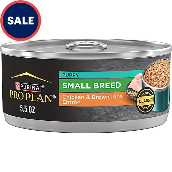 Complete Essentials Small Breed Chicken and Brown Rice Entree Wet Dog ...